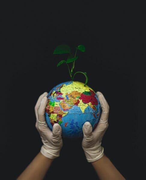 How to Practice Faithful Earth Stewardship on a Frugal Family Budget